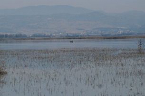 ΠΑΡΑΝΟΜΗ ΑΛΙΕΙΑ ΣΤΗ ΛΙΜΝΗ ΚΟΡΩΝΕΙΑ (photo)